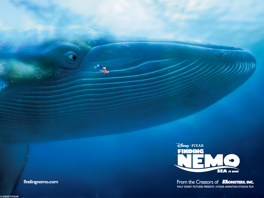 Finding Nemo