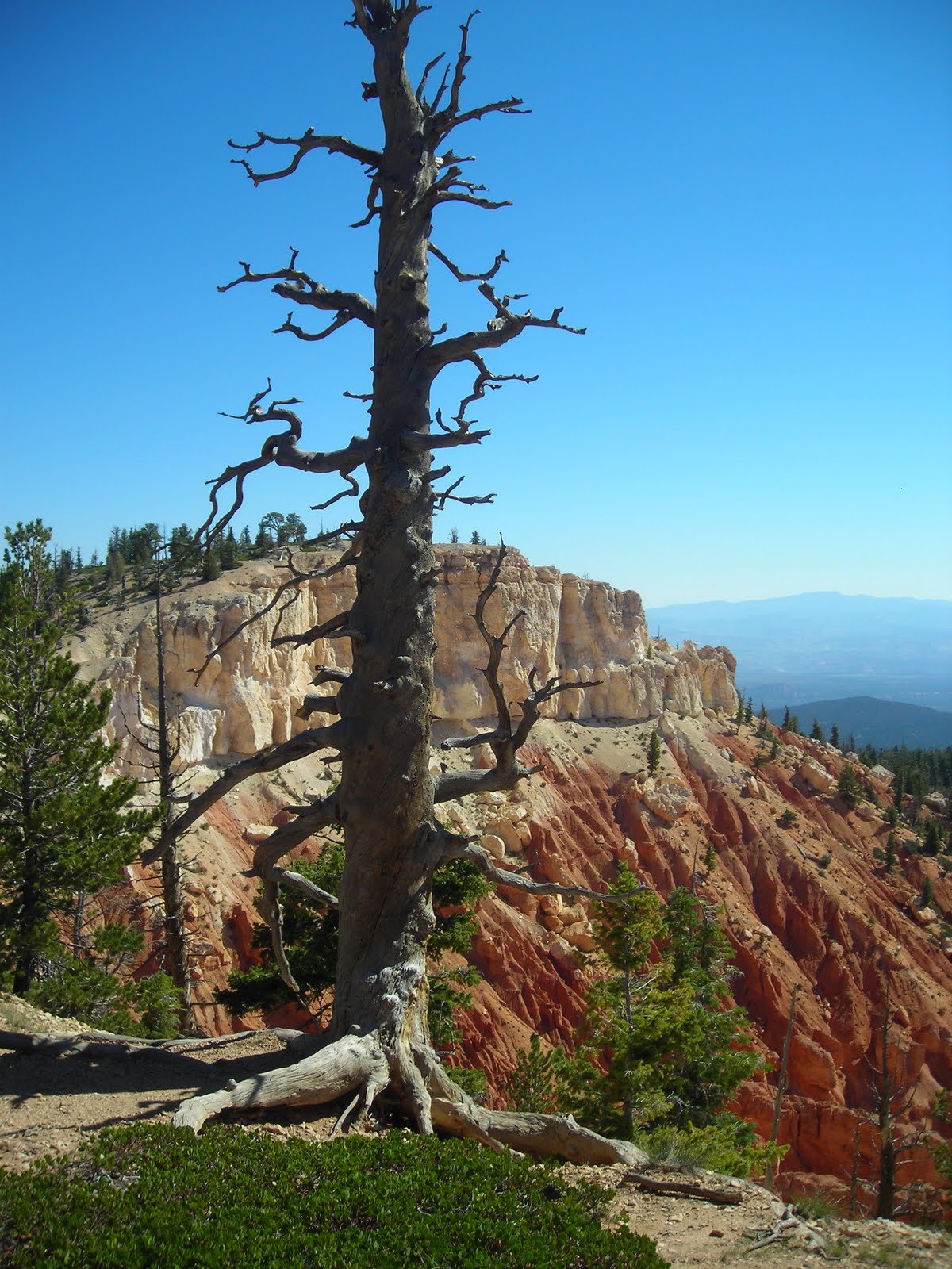Skipp's Sabbatical Year: Bryce Canyon - Bristlecone Loop Hike
