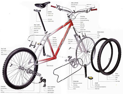 TRANCYC -Transmarga Cycling Club: bicycle anatomy
