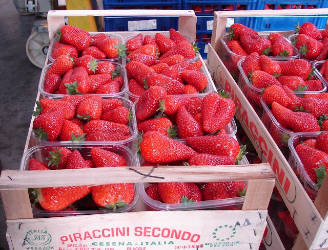 IMAGES - Photos from Italy: FRUITS FROM ALL AROUND THE WORLD