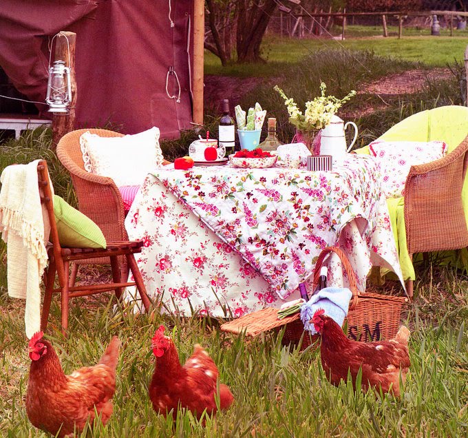 Brabourne Farm: A Perfect Day for a Picnic