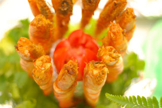 Aroma Katering | Katering, Catering services, food, event, wedding ...