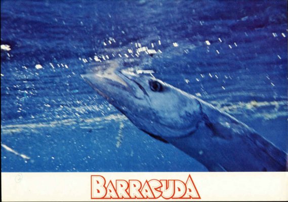 Todo El Terror Del Mundo: Barracuda (Barracuda, The Lucifer Project ...