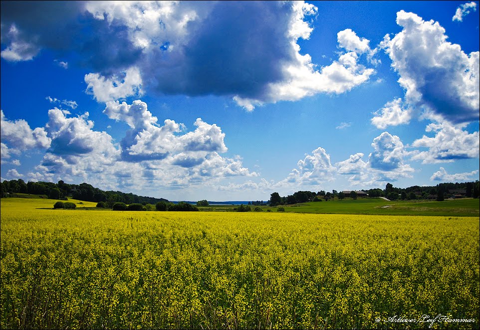 Fredagstema — Landskap