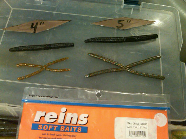 Duane Bethke's Bass Blog: Reins Cross Swamp worm