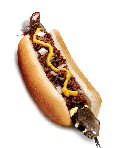 Solar Cooking for Mainstream Cooks: A Matter of Opinion - The 5 W's Redeux