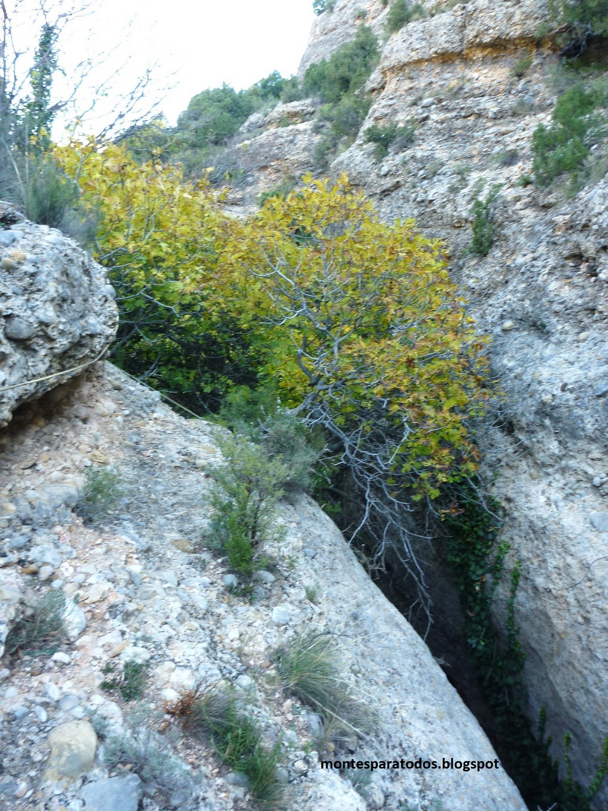 montañismo para todos.: Barranco de Valdoria.