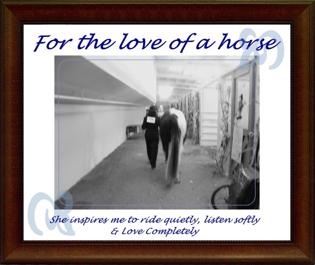 For the love of a horse: Trophy Wife gone bad