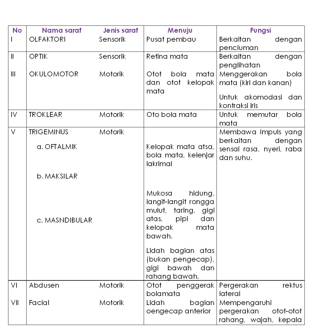 Dasar-Dasar Saraf | PAS Collage Privat Course Singaraja
