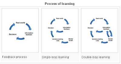 Management: Double-loop learning
