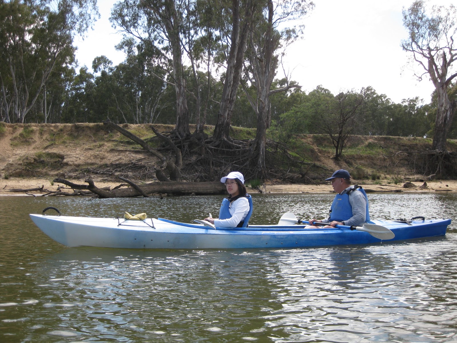 Lee Family Travels: Kayak Down the Murray