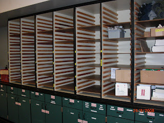 College Life: The Stockroom . . . . . . . . Begginings.