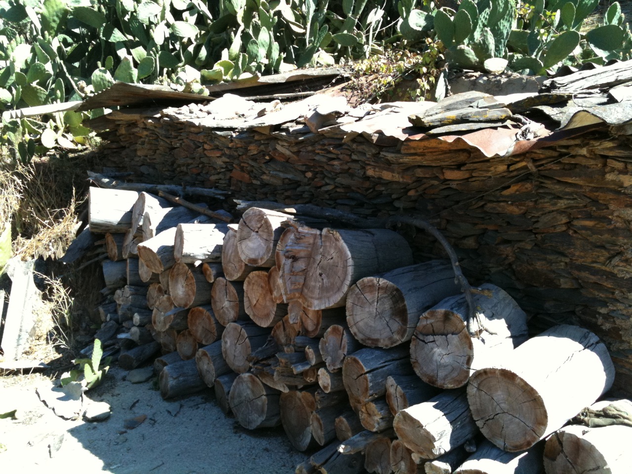 HABITÁCULOS.: La Rabaza, un lugar mágico