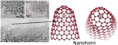 Cognition: Nano fluidic devices and carbon nanohorns
