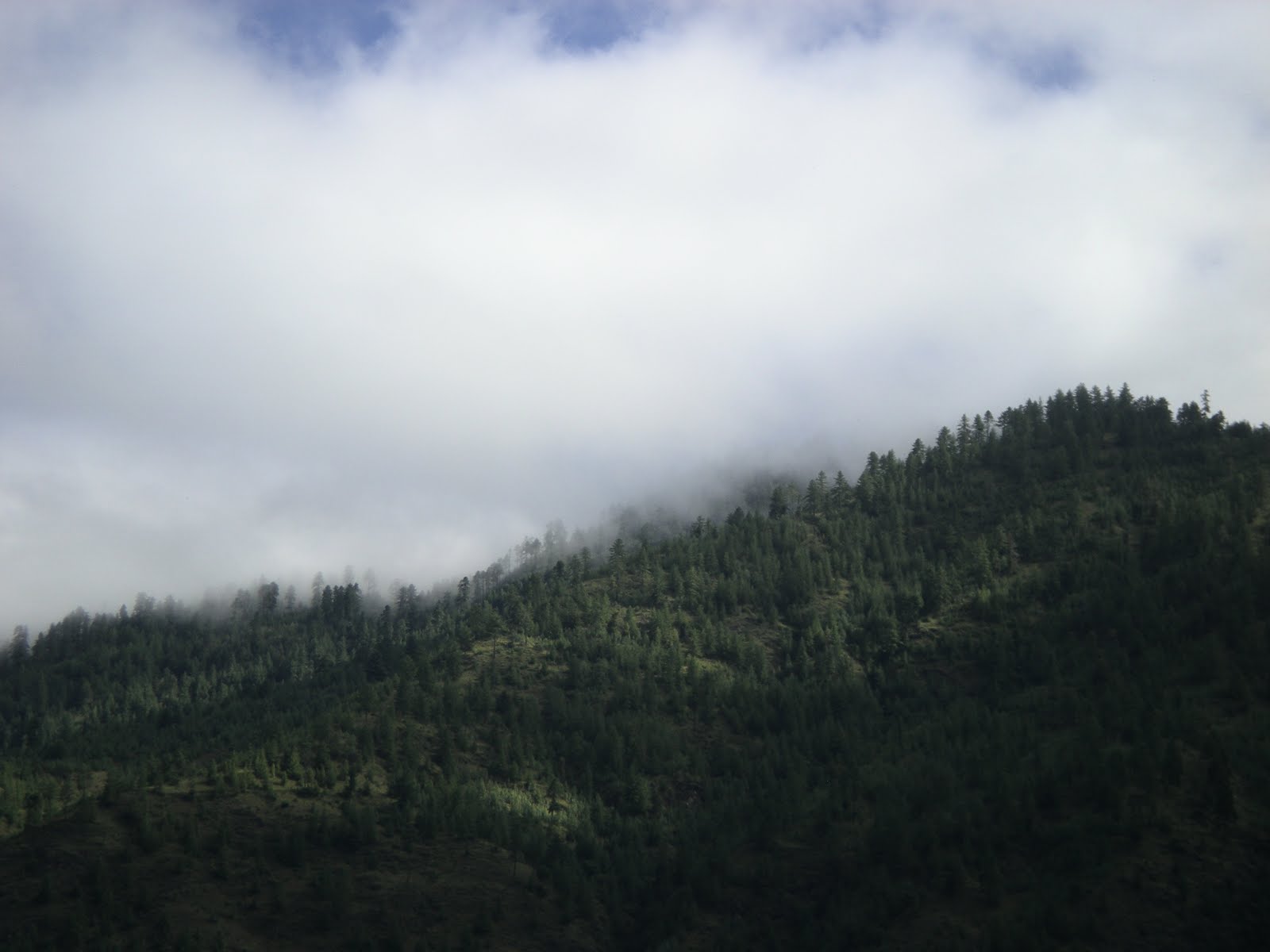 Flaming Thunderbolt of Wisdom: Blessed Rainy Day