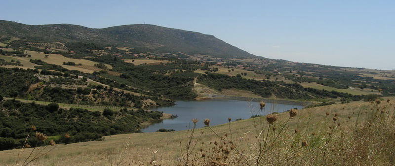 ΤΑΞΙΔΙΑ ΜΕ ΕΝΑΝ ΕΥΡΥΓΩΝΙΟ: ΧΑΛΚΙΔΙΚΗ