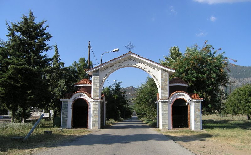 ΤΑΞΙΔΙΑ ΜΕ ΕΝΑΝ ΕΥΡΥΓΩΝΙΟ: ΧΑΛΚΙΔΙΚΗ