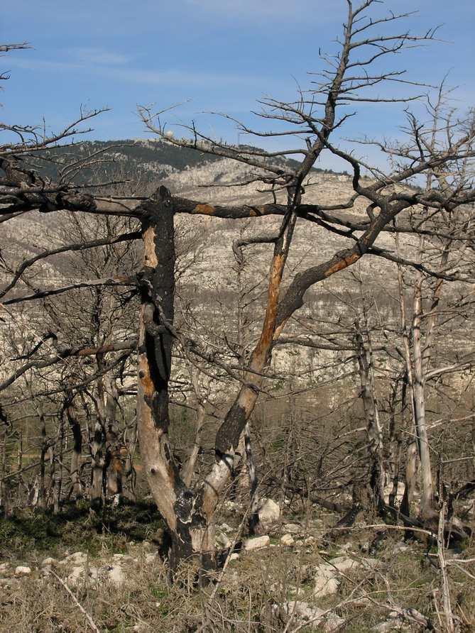 ΤΑΞΙΔΙΑ ΜΕ ΕΝΑΝ ΕΥΡΥΓΩΝΙΟ: ΠΑΡΝΗΘΑ: ΠΕΡΙΗΓΗΣΗ ΣΤΙΣ ΑΣΦΑΛΤΙΝΕΣ ΔΙΑΔΡΟΜΕΣ