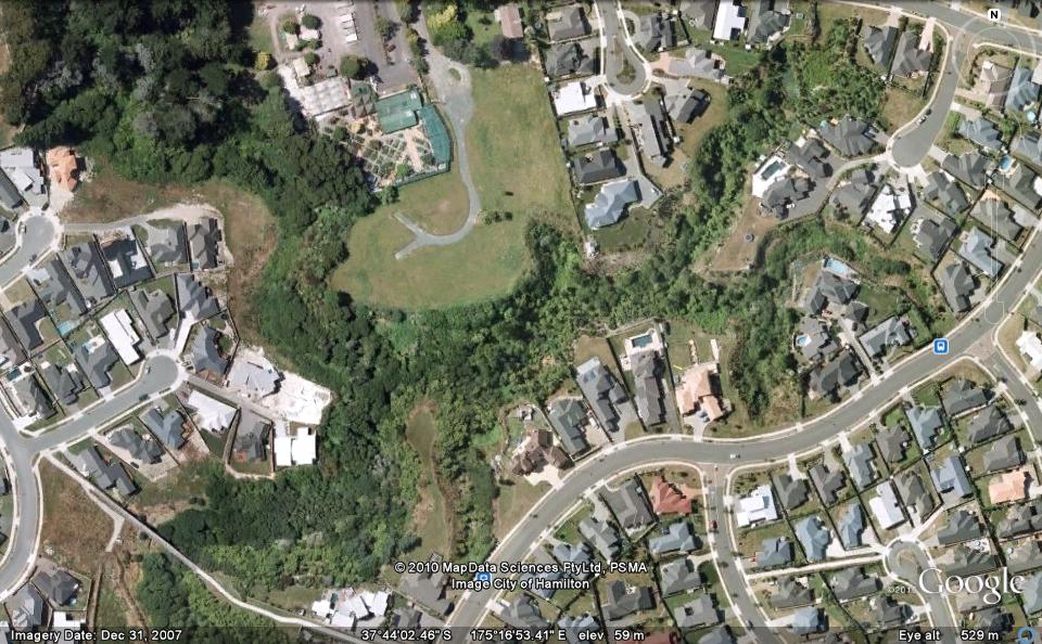 Mangaiti Gully Restoration Group: The Gully