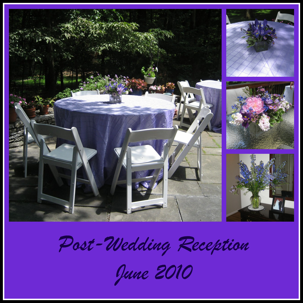 posh in a pinch: {Event Showcase} Post-Wedding Reception|party and ...