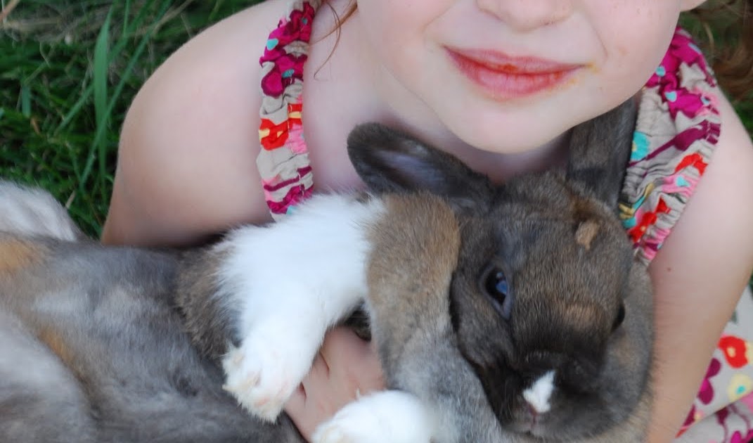 "Isabelle Thornton" Le Chateau des Fleurs: Summer in Utah