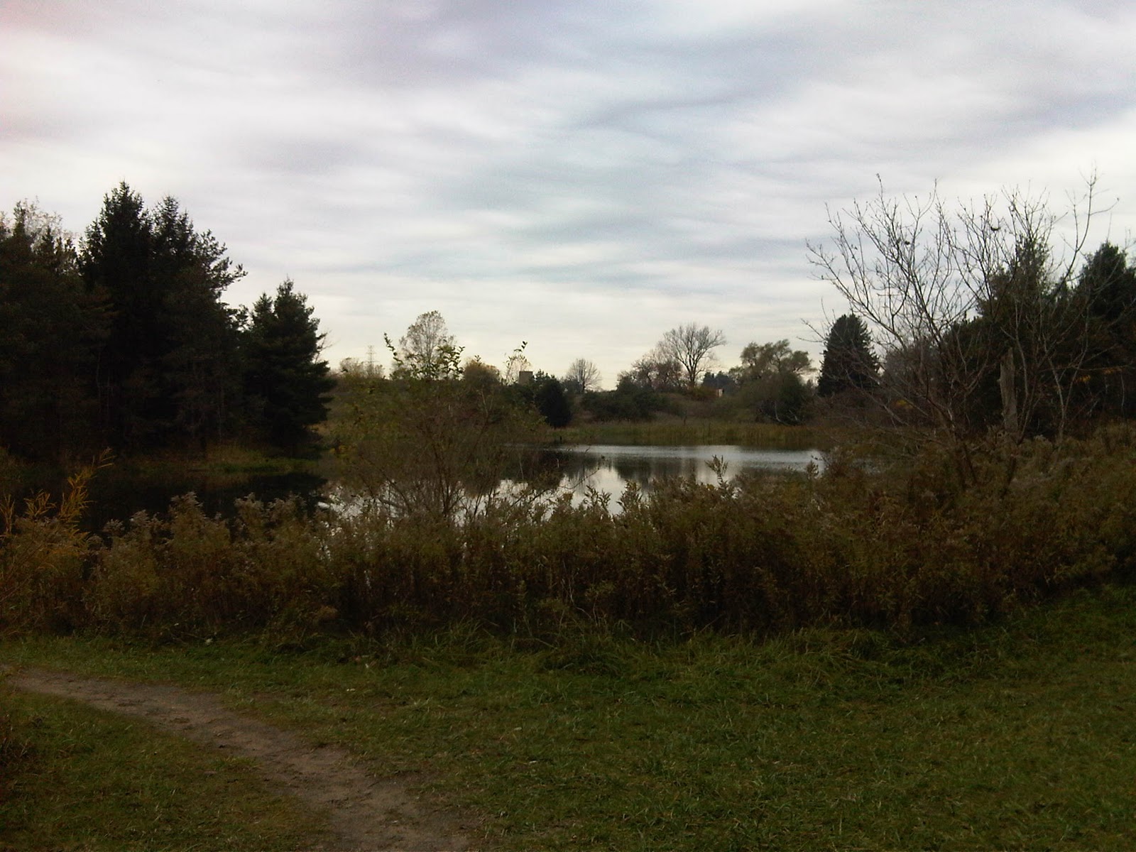 The Unofficial Huron Natural Area Blog