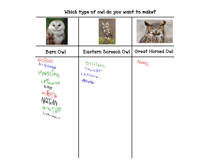 Mrs. Kimbrell's Kindergarten: Owls