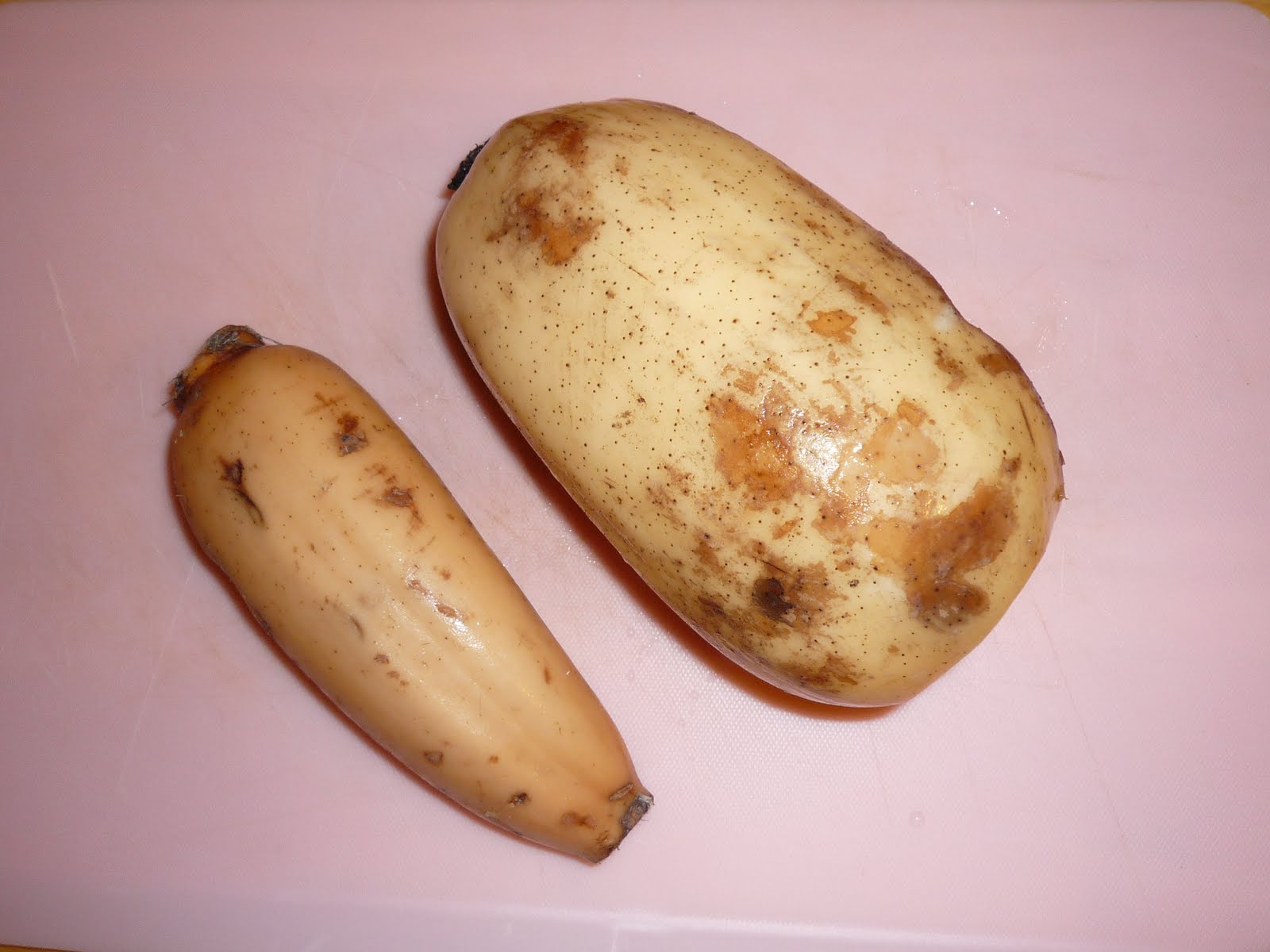 Nomes Blog: Ingredient in the Spotlight: Renkon/Hasu (Lotus Root)