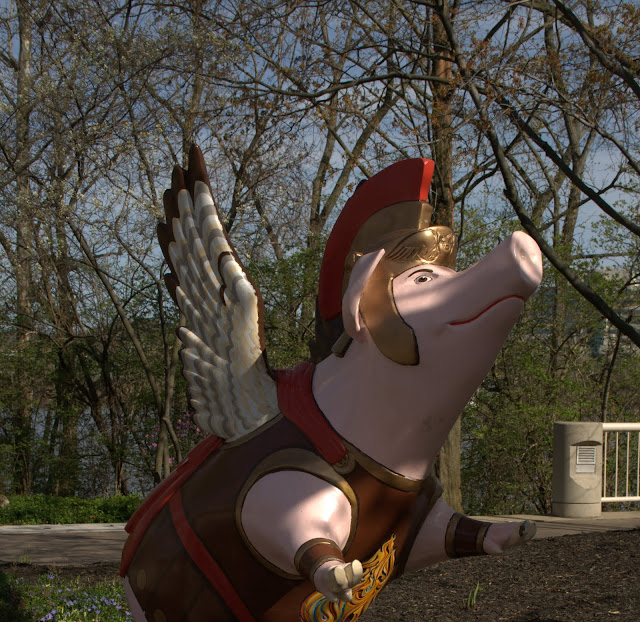 In and Around Northern Kentucky: Flying Pig Marathon