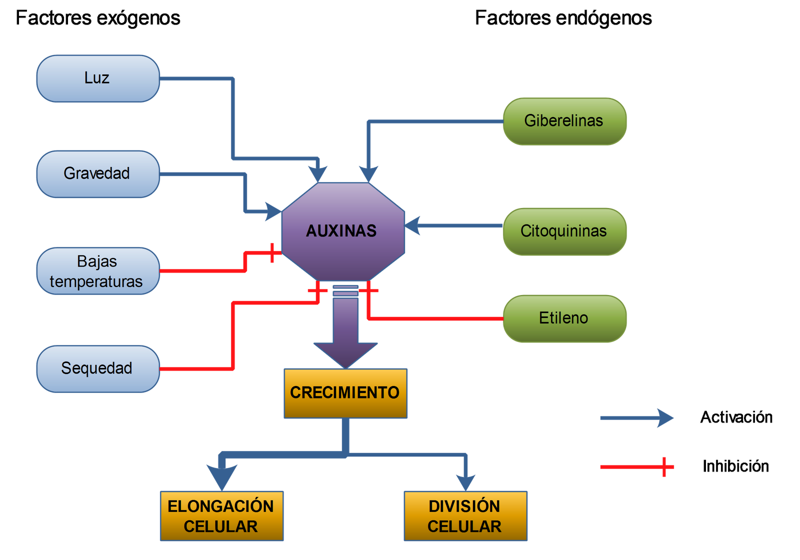 B.log.ia 2.0: Regulación de la fisiología vegetal I: Las hormonas vegetales