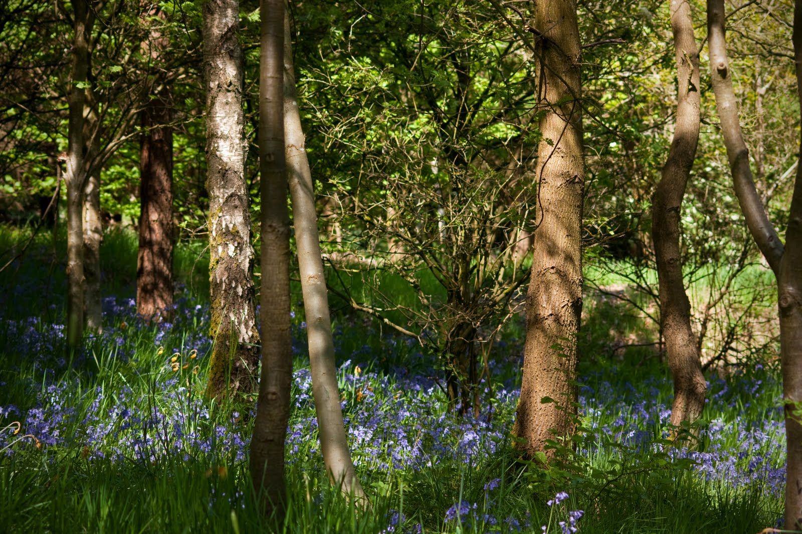 Rich's Photography Blog: Horizontal and Vertical Lines