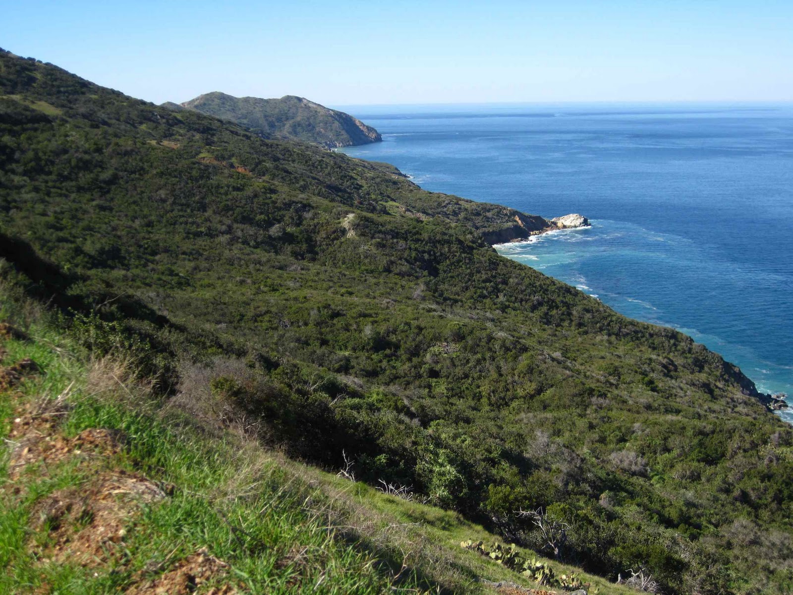 A Hiking Diary of Catalina: Parsons Landing toward Starlight Beach