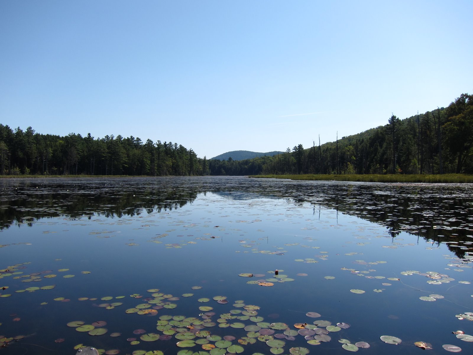 Adirondack Kid: August 28-29, 2010 - Camping on Crane Pond