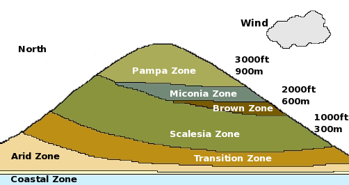 FGeoinformática: Zona de Transición