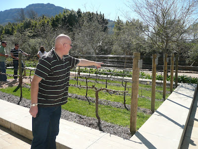 uitentuis: 'n Blitsige wynroete