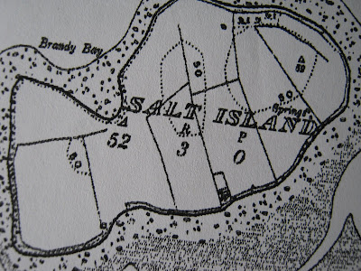 Lord Belmont in Northern Ireland: Salt Island Map