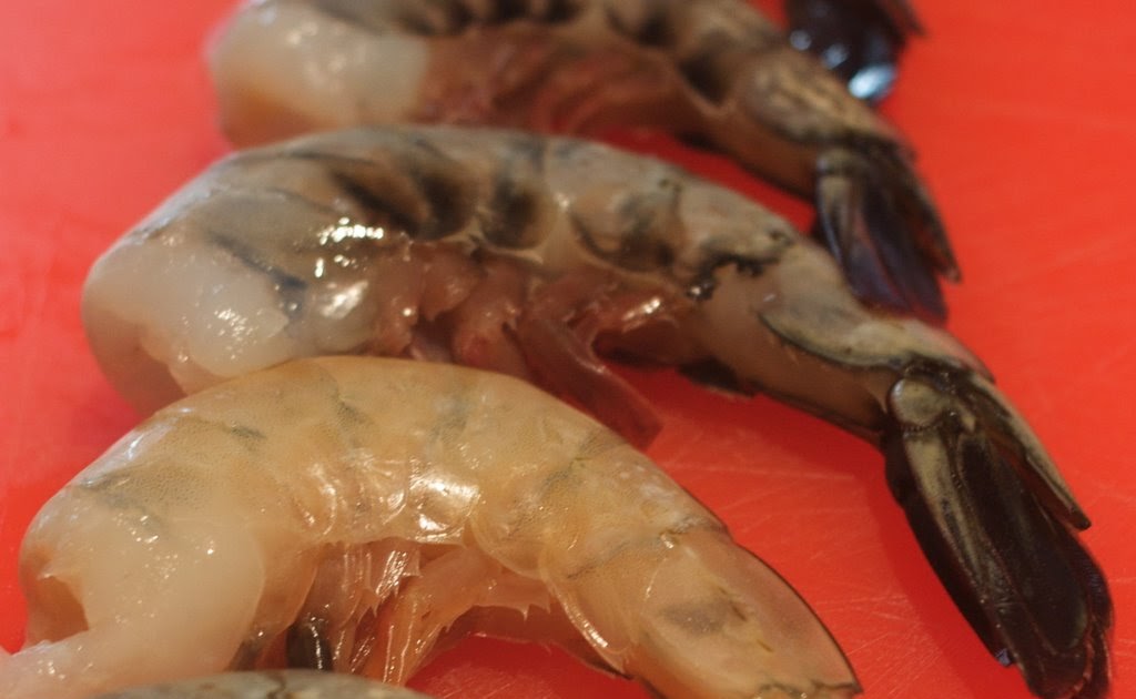 Bad Shrimp Which One Did I Throw Out