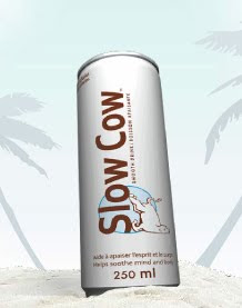 Corporativês: Inovação despertada por uma oportunidade - Slow Cow