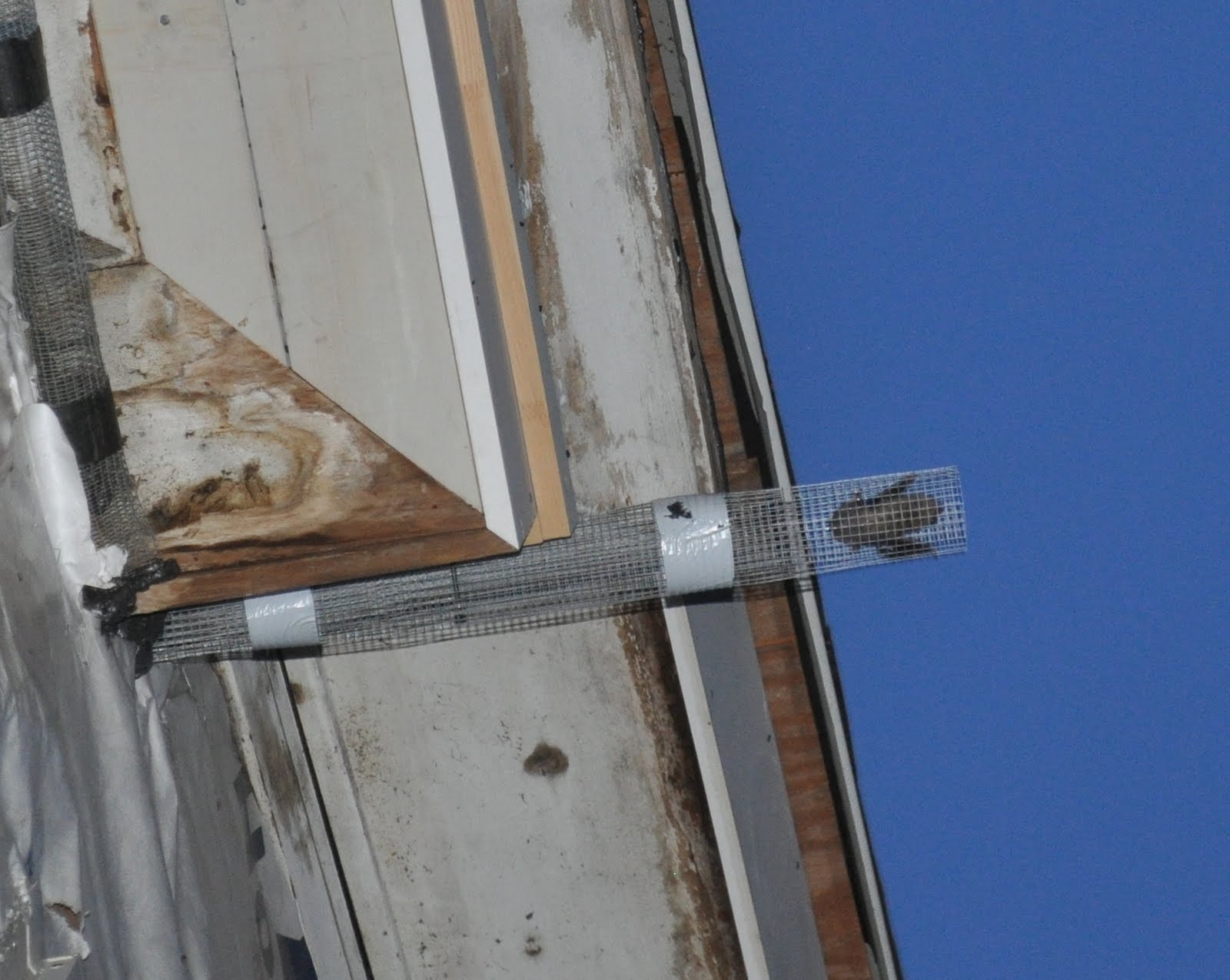 New England Photos: Bat Tube