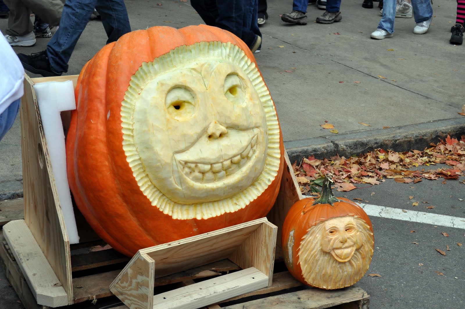 New England Photos: October 2010