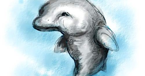 Indonesian Folklore (Folklor Indonesia): The Legend of Pesut Mahakam