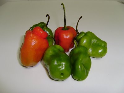 Cozinha Mineira: Pimenta Rocoto