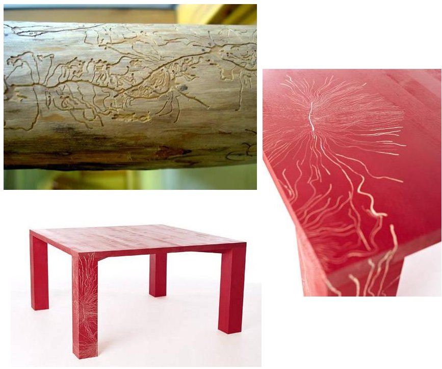 Design Canvas: & Front Design