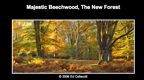 Ness Photography: Research - Ed Collacott