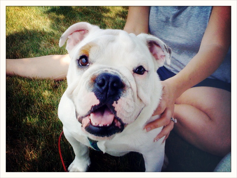 kate and geoff: Chow-Dah