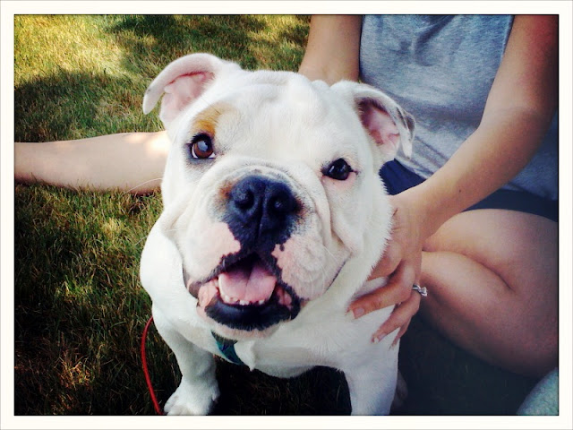 kate and geoff: Chow-Dah