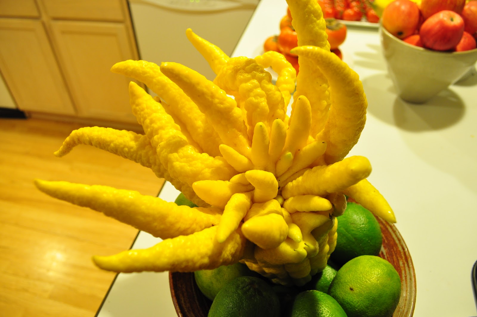 Finger Citron Benefits at Andrea Lawrence blog