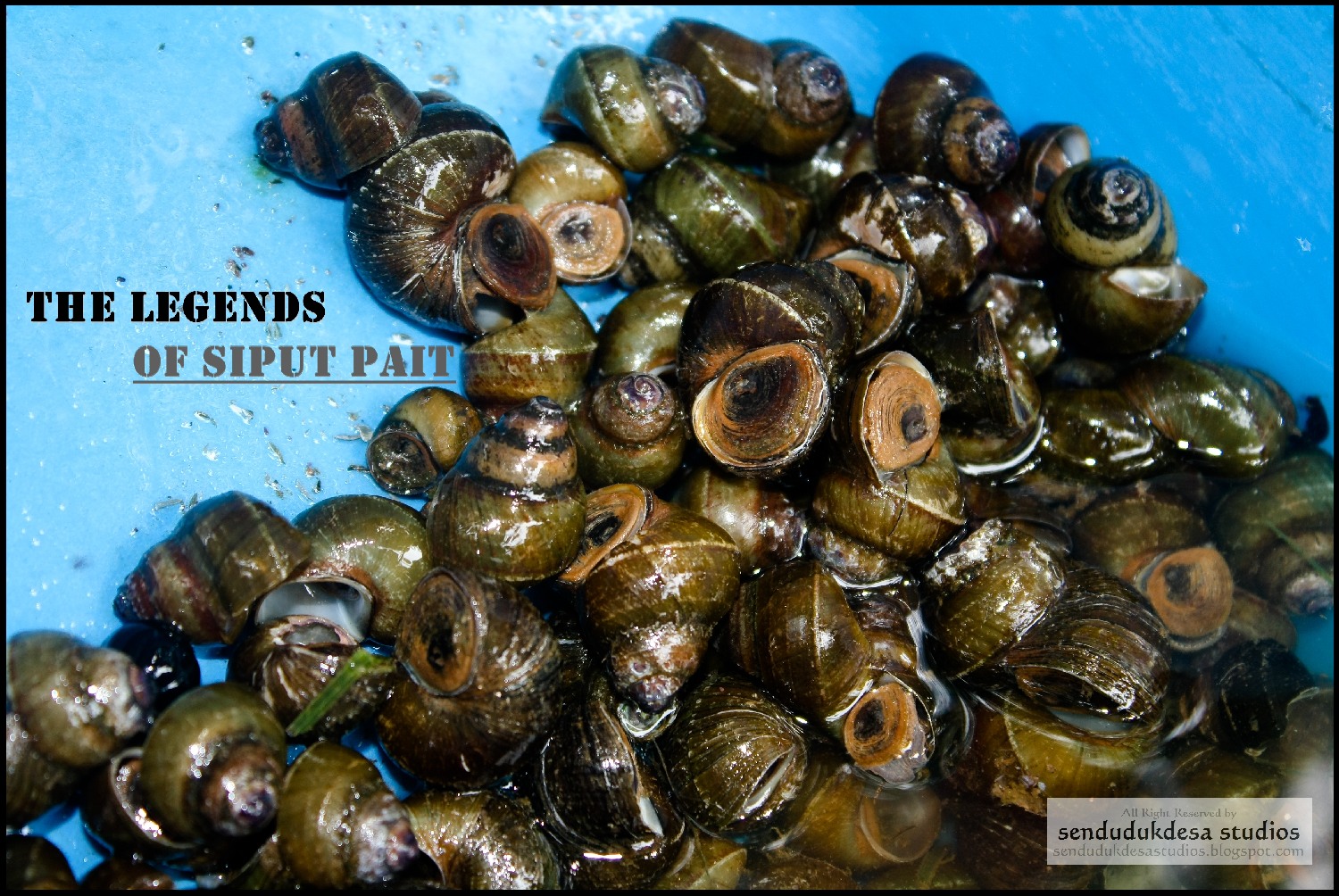 sendudukdesa journal: Exotic - Siput Pait
