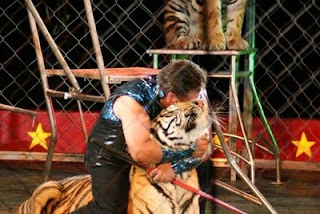 Mackay Entertainment: Welcome to the "Year of the Tiger"