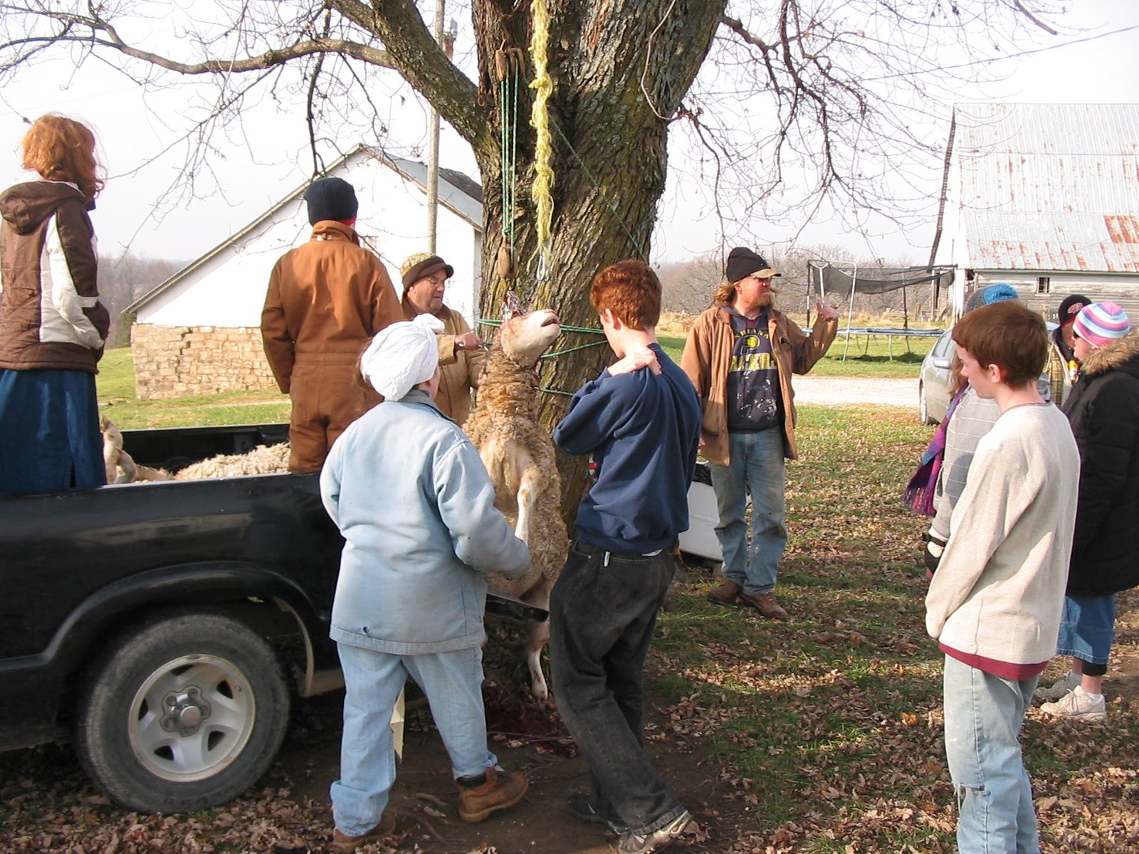 Viking Preparedness: Muttonfest